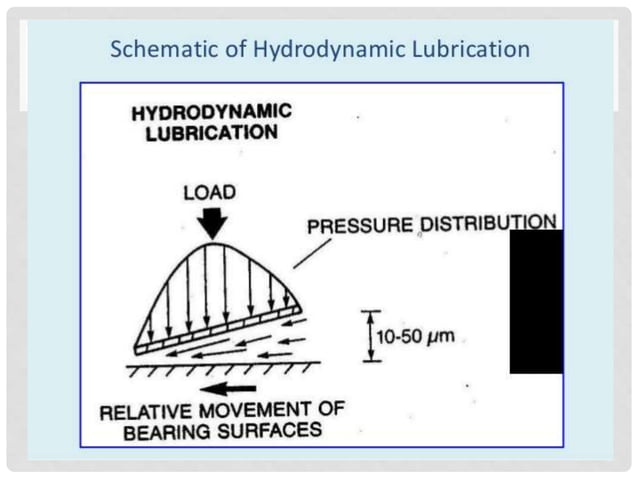 Composition of synovial fluid and mechanism of joint lubrication