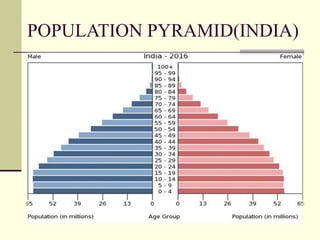 Structure and Composition of population in India | PPTX