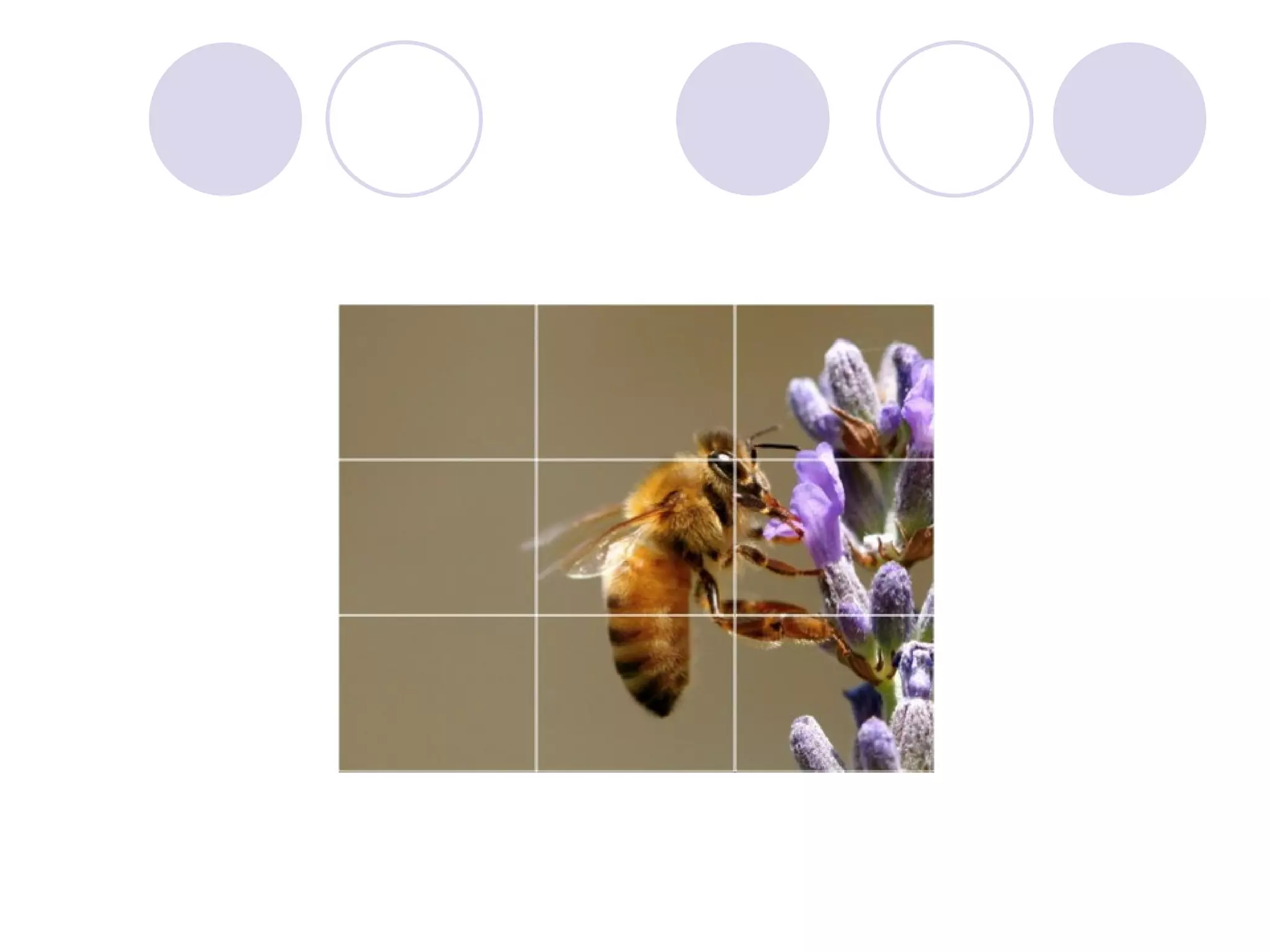 Composition rule of thirds | PPT