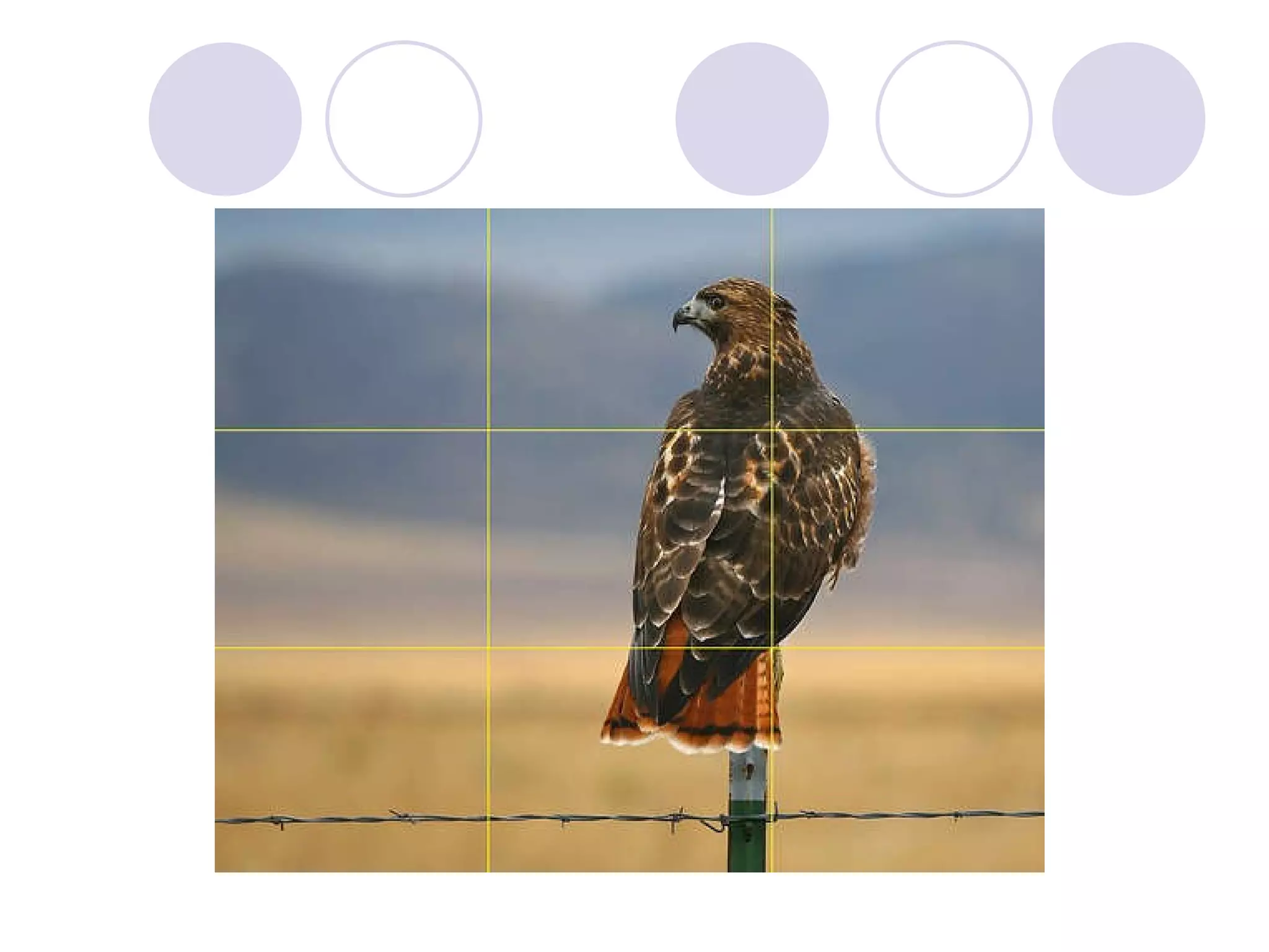 Composition rule of thirds | PPT