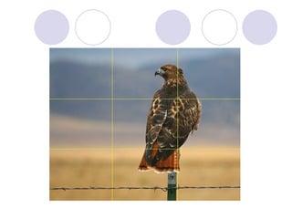 Composition rule of thirds | PPT
