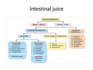 Compositions of digestive enzymes and juices | PPT