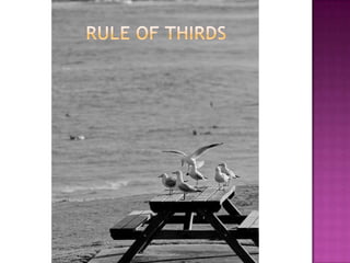 Composition slide show | PPT