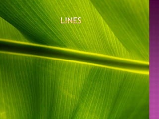 Composition slide show | PPT