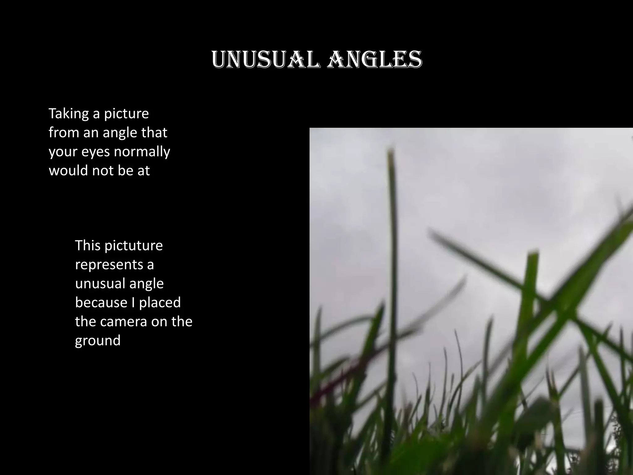 Composition techniques Daveena | PPTX