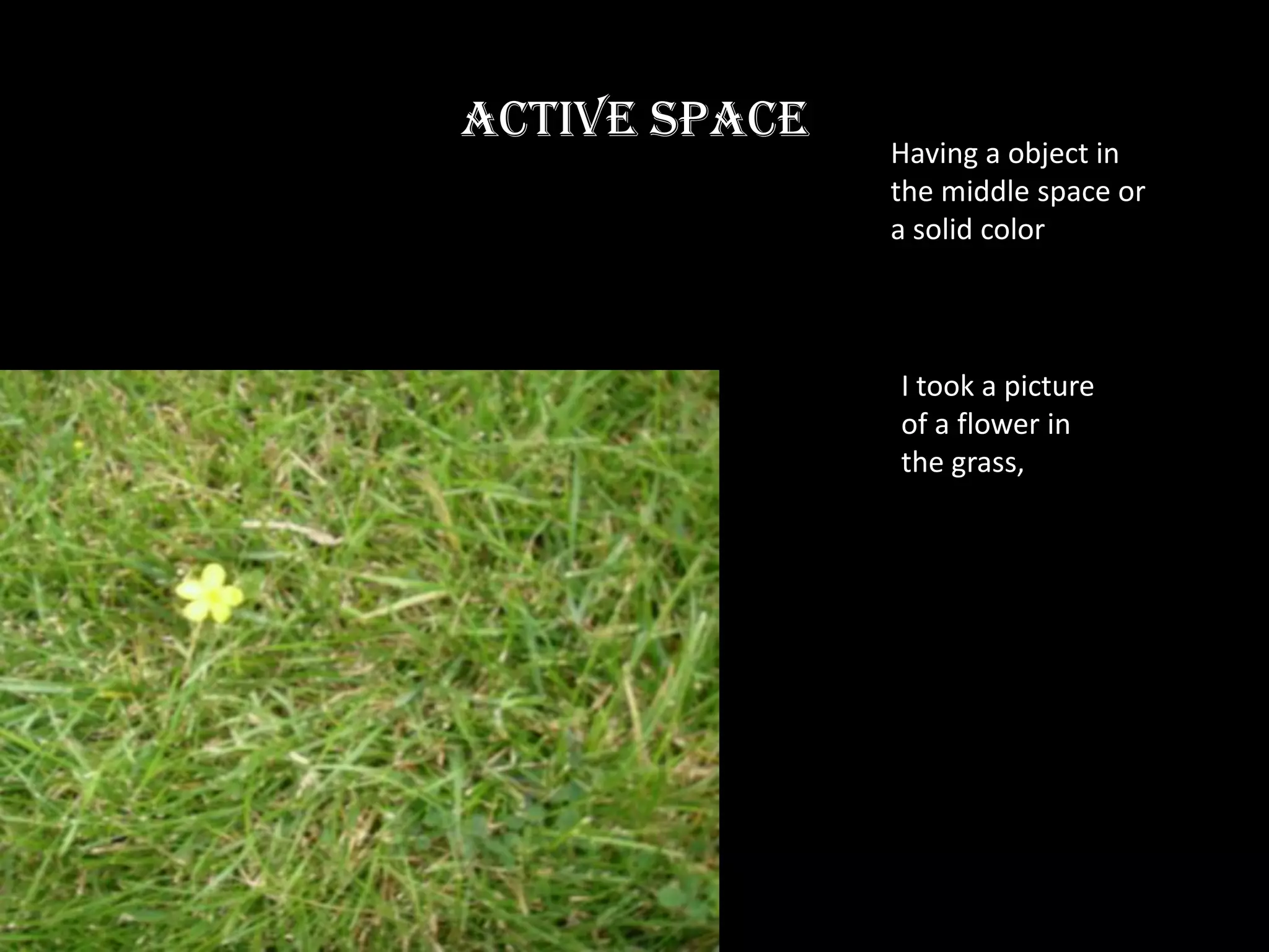 Composition techniques Daveena | PPTX