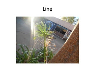 Composition & the 9 Zone Grid Slideshow | PDF