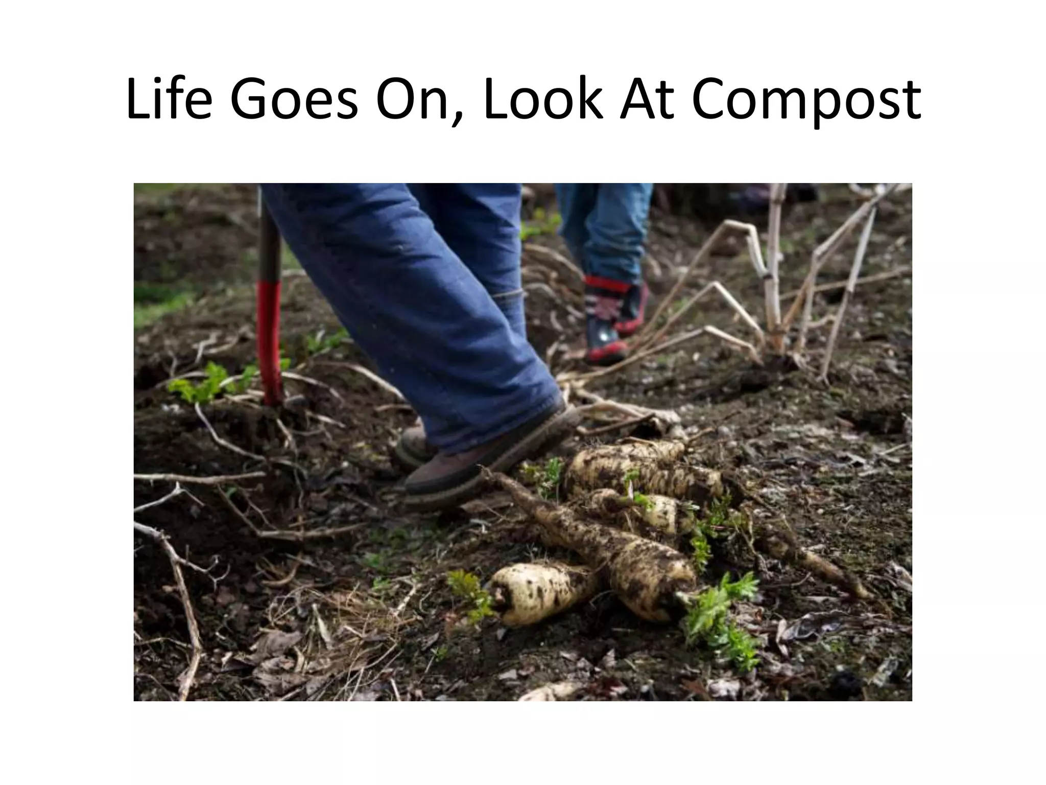 Compost | PPT