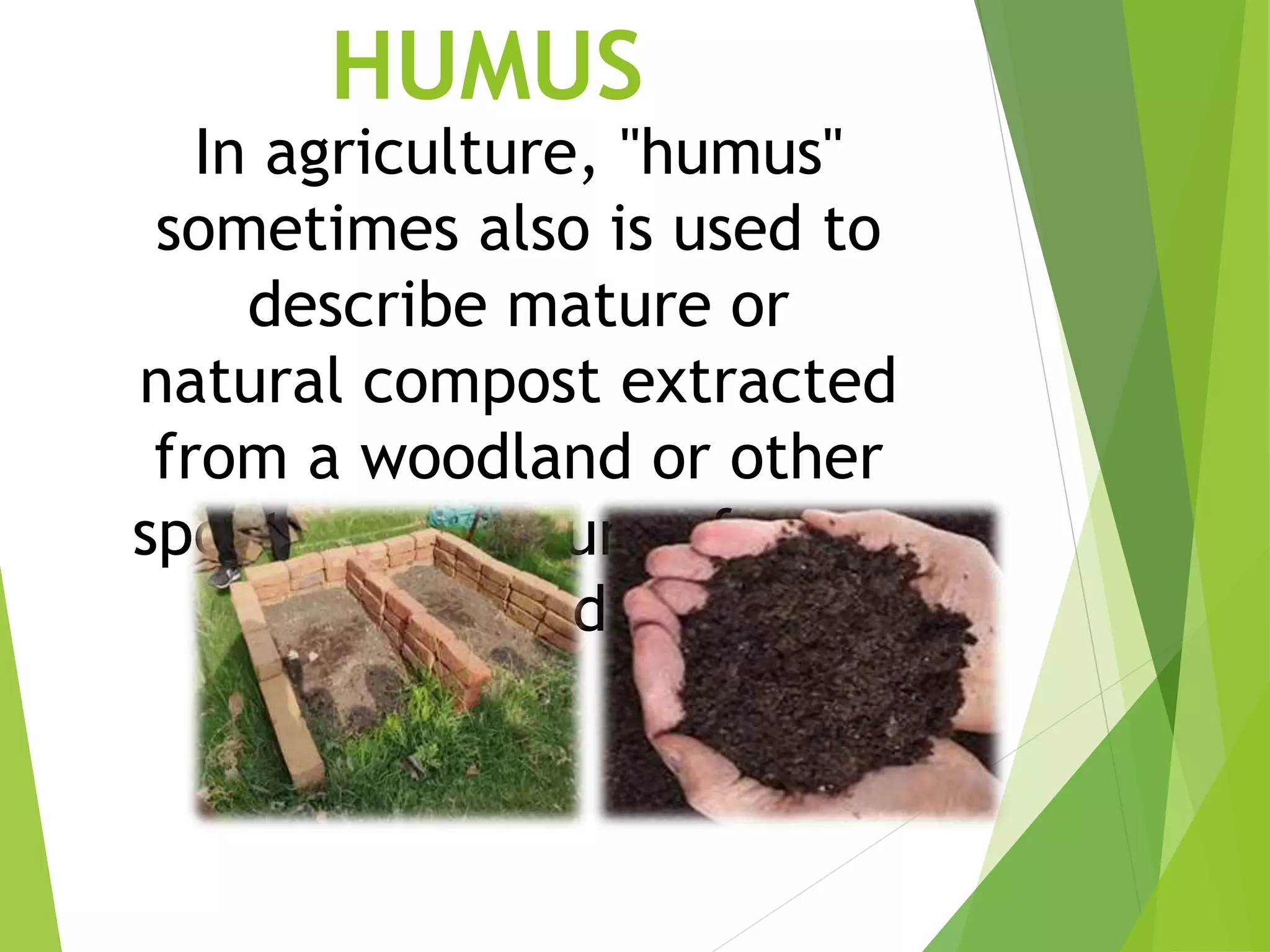 Compost Harsh, Wazahat and shivansh | PPTX