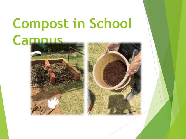 Compost Harsh, Wazahat and shivansh | PPT