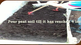 Composting | PPT