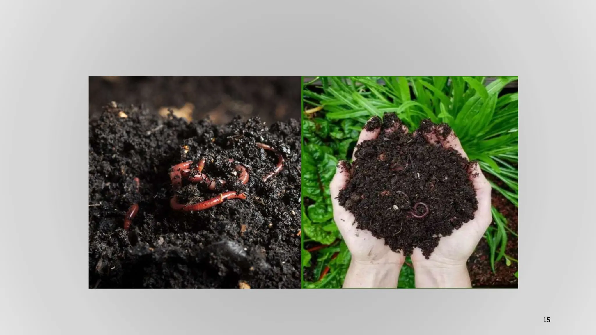 COMPOSTING : types of compost, merits and demerits | PPTX