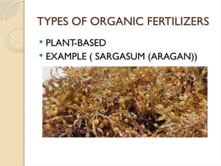 Produce Organic Fertilizer - composting.pptx