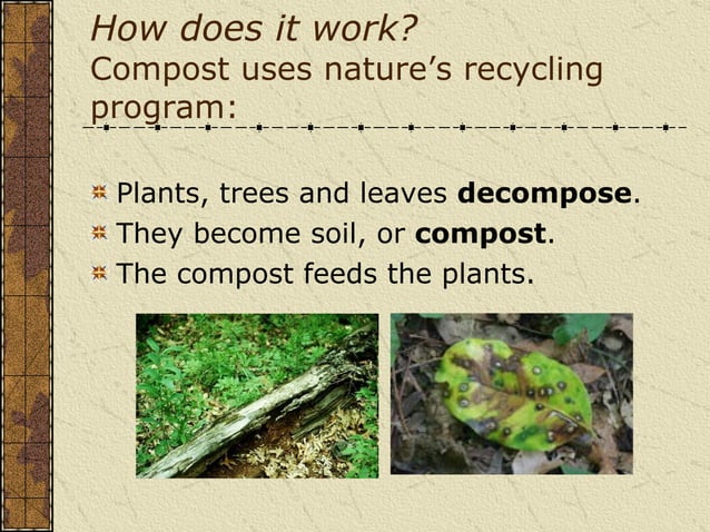"Composting 101" Presentation | PPT | Gardening | Home & Garden