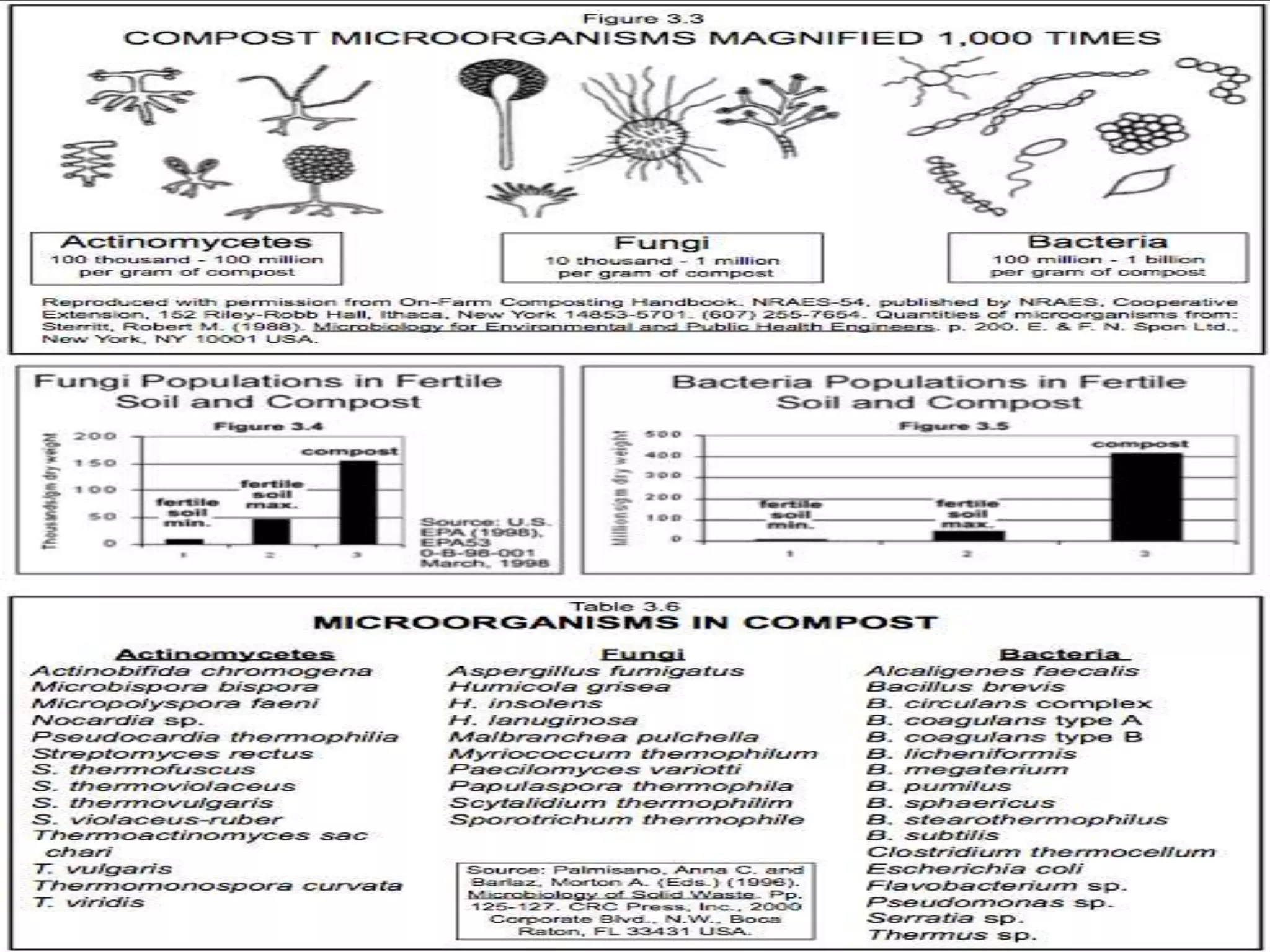 Composting | PPSX