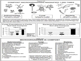 Composting | PPSX