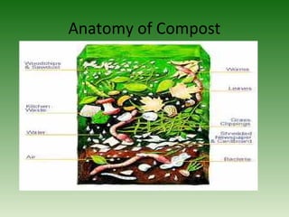 Composting – nature’s lifecycle | PPT
