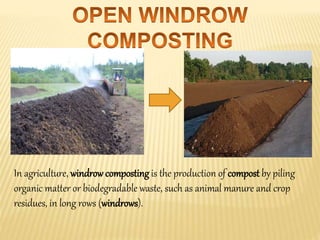 COMPOSTING: A Pile Of Fun | PPTX