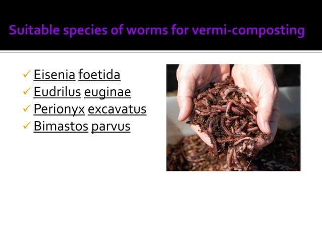 Composting methods and techniques (praveen.b.patil)21;05;14 | PPTX