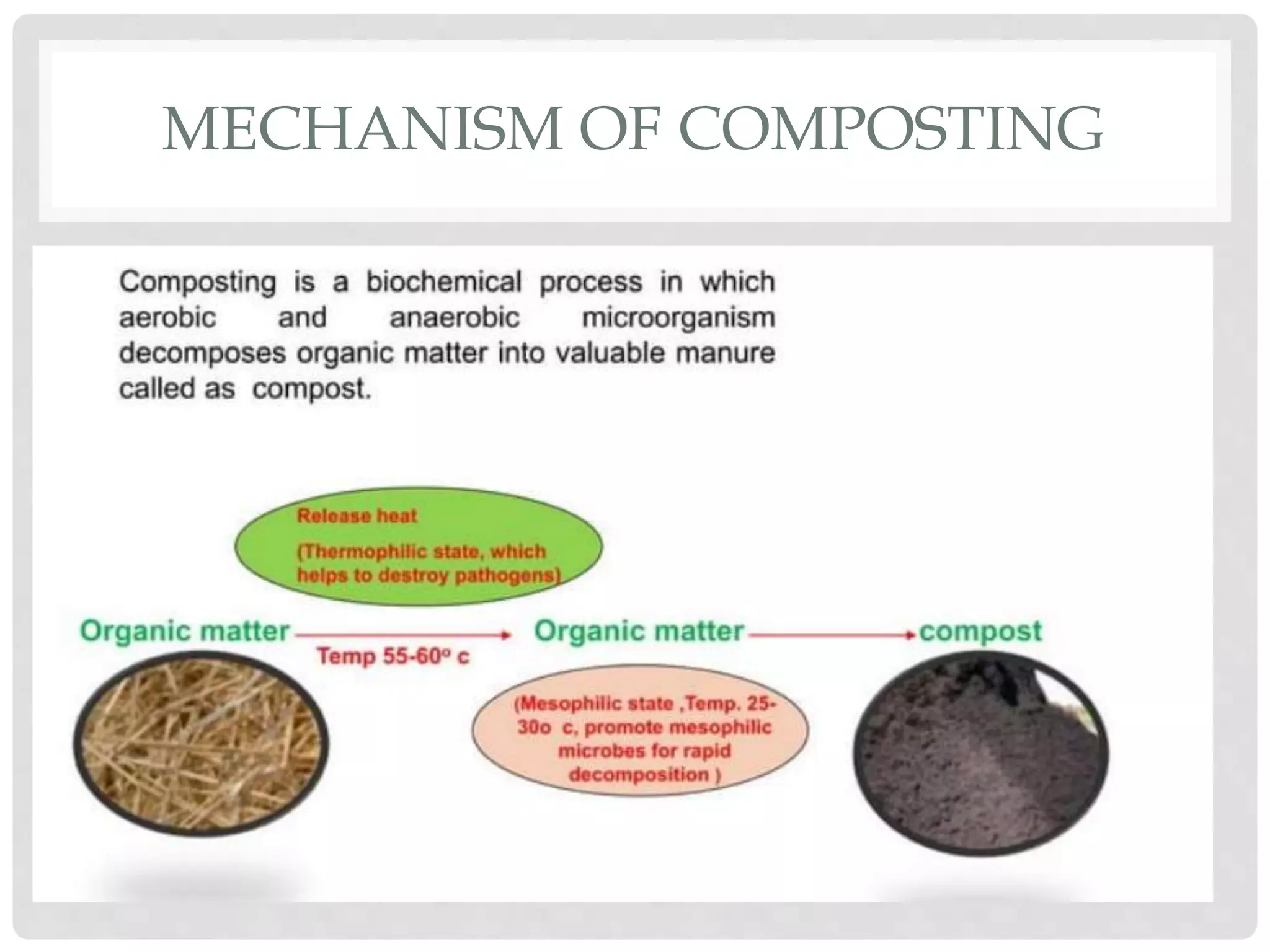 COMPOSTING PUNIT PATIL 3315.pptx