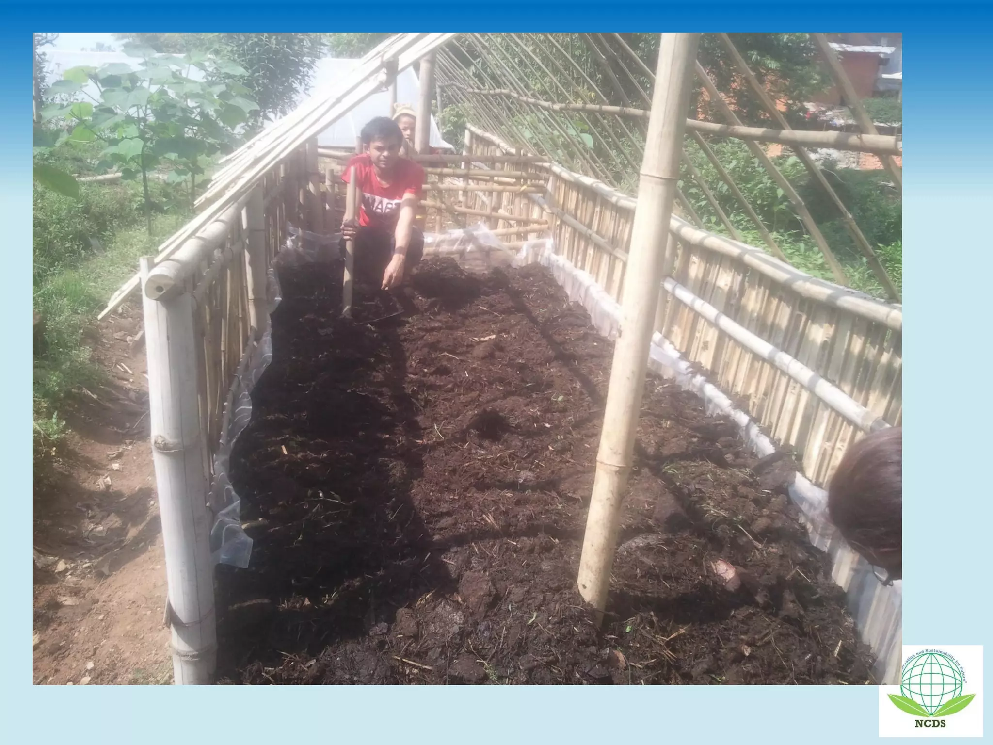Composting, vermicomposting and rooftop farming management | PDF