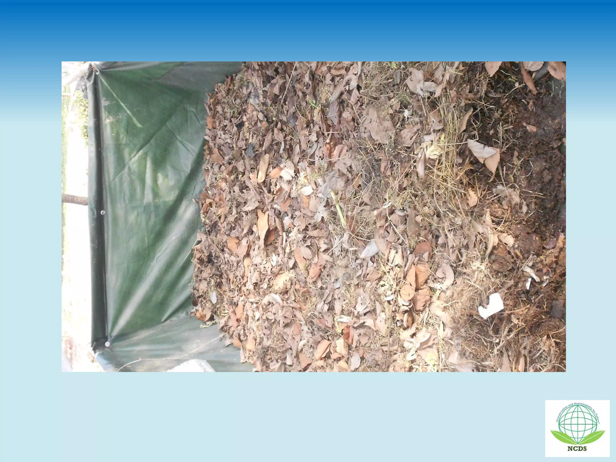 Composting, vermicomposting and rooftop farming management | PDF