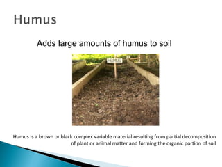 Compost, science behind it and the how and why of doing it | PPT