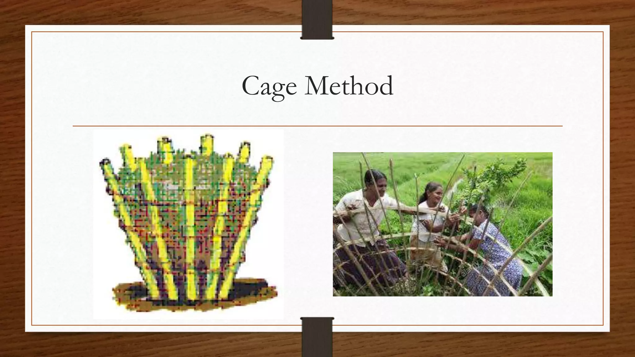 Compost Preparation | PPTX