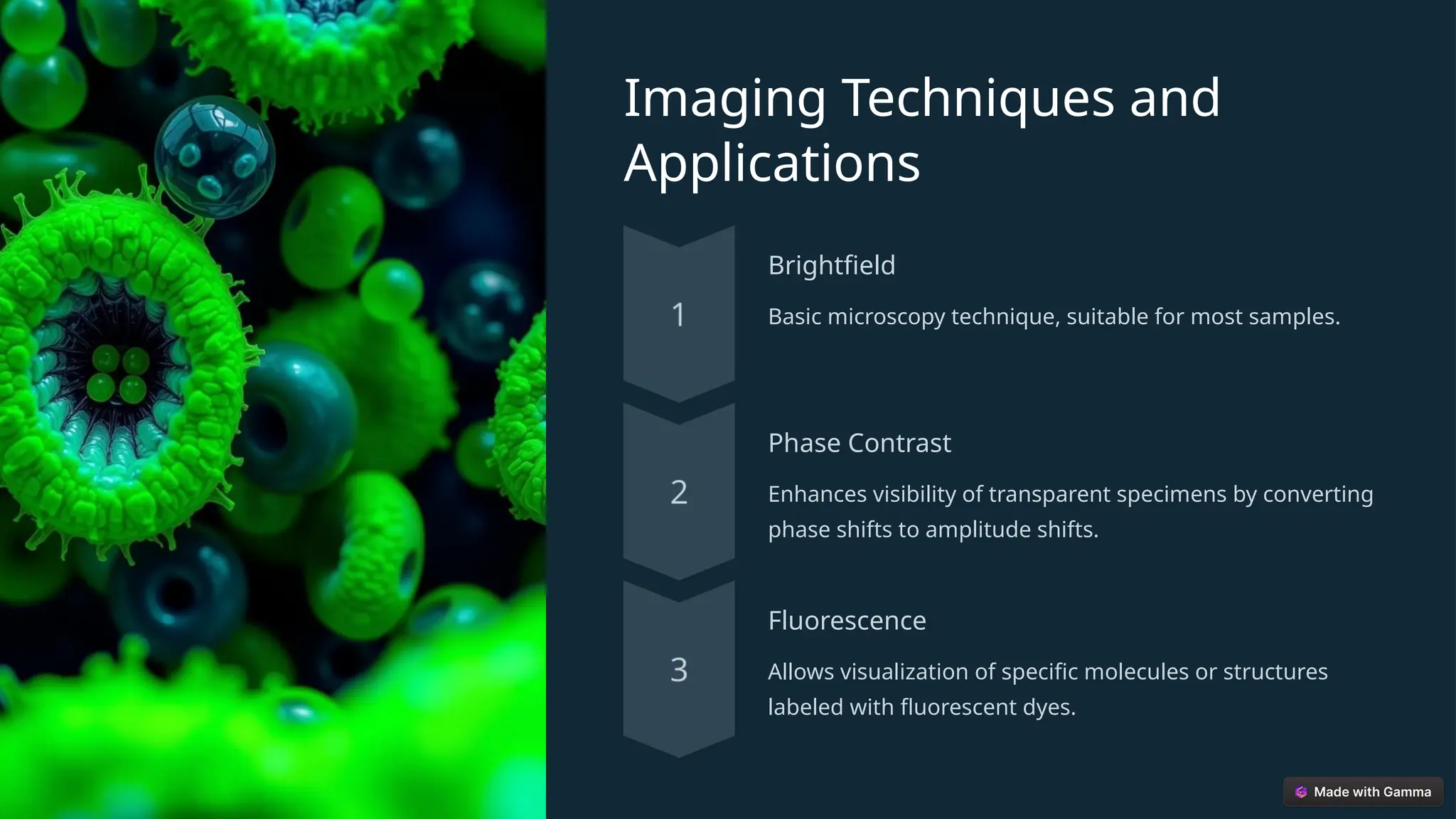 Compound-Microscope-Unveiling-the-Unseen.pptx