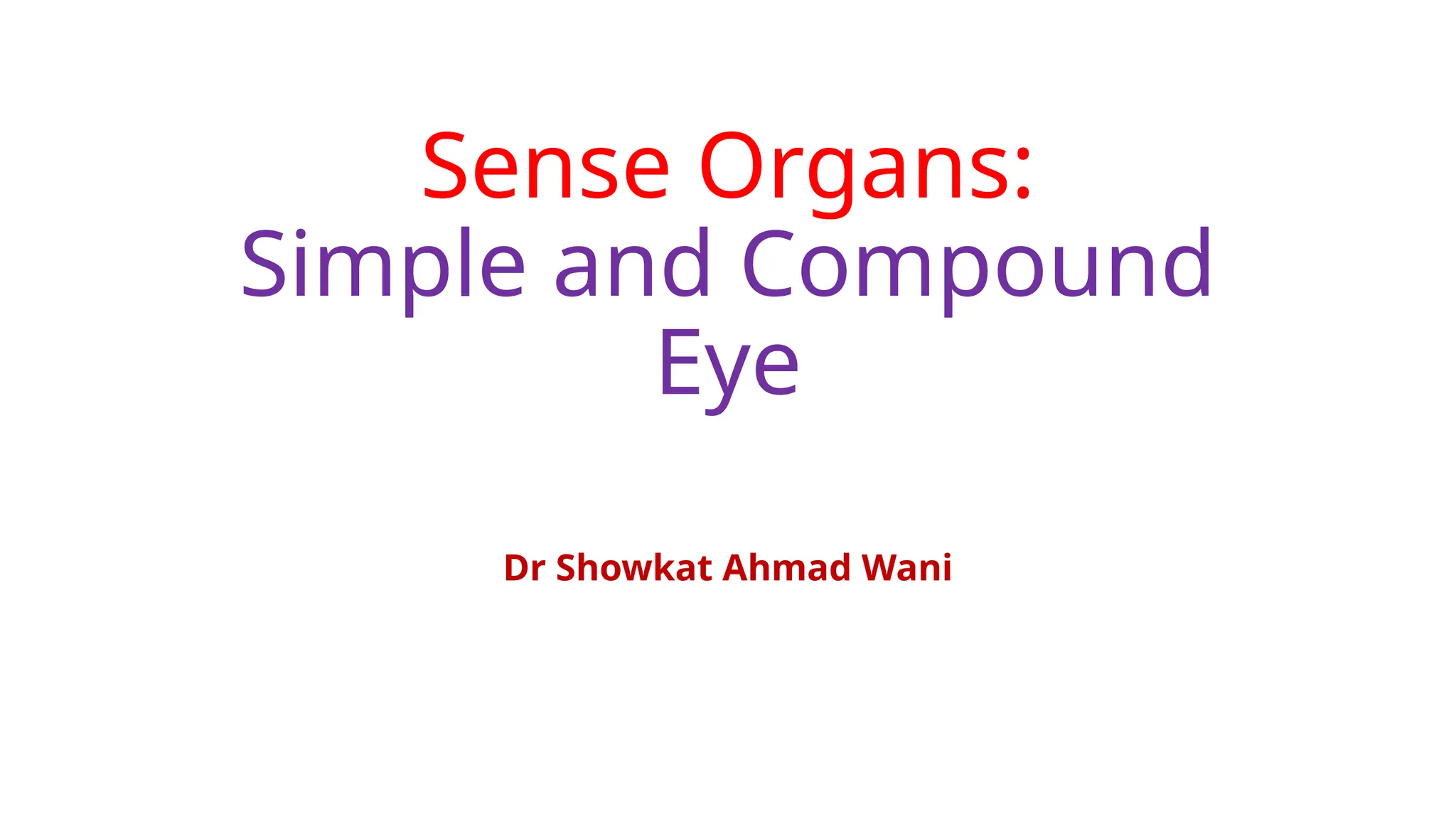 Structure of Compound Eye and Simple eye in insects | PPTX