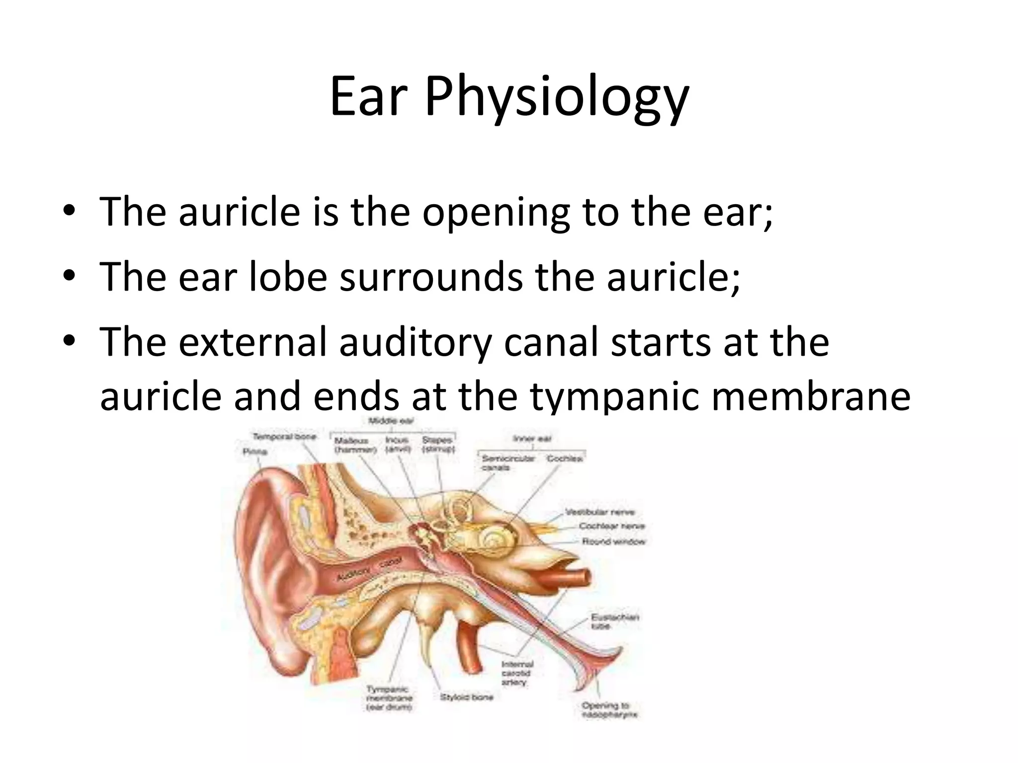 Types of Otic Preparations | PPTX