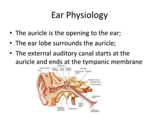 Types of Otic Preparations | PPTX
