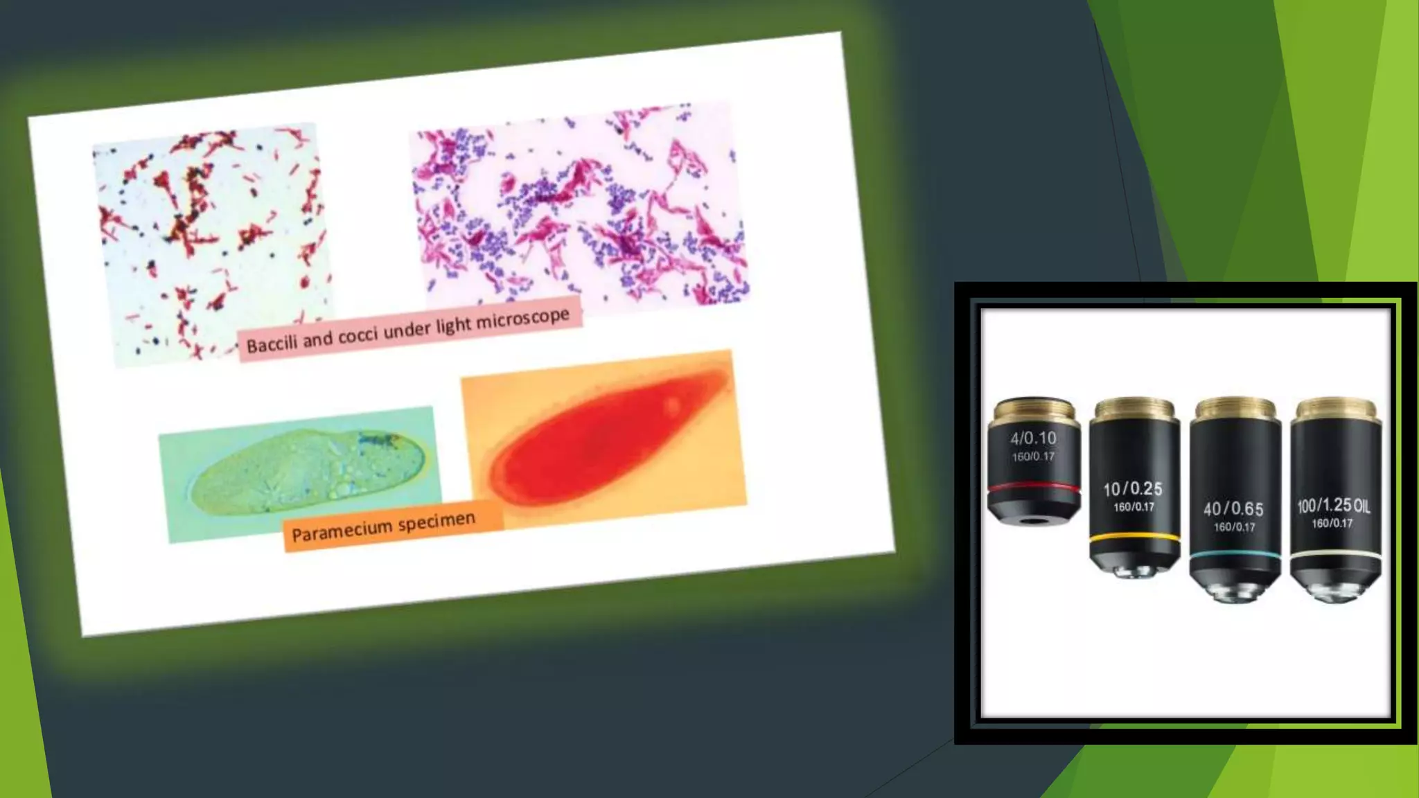 Compound light microscopy by dr. laveena | PPT