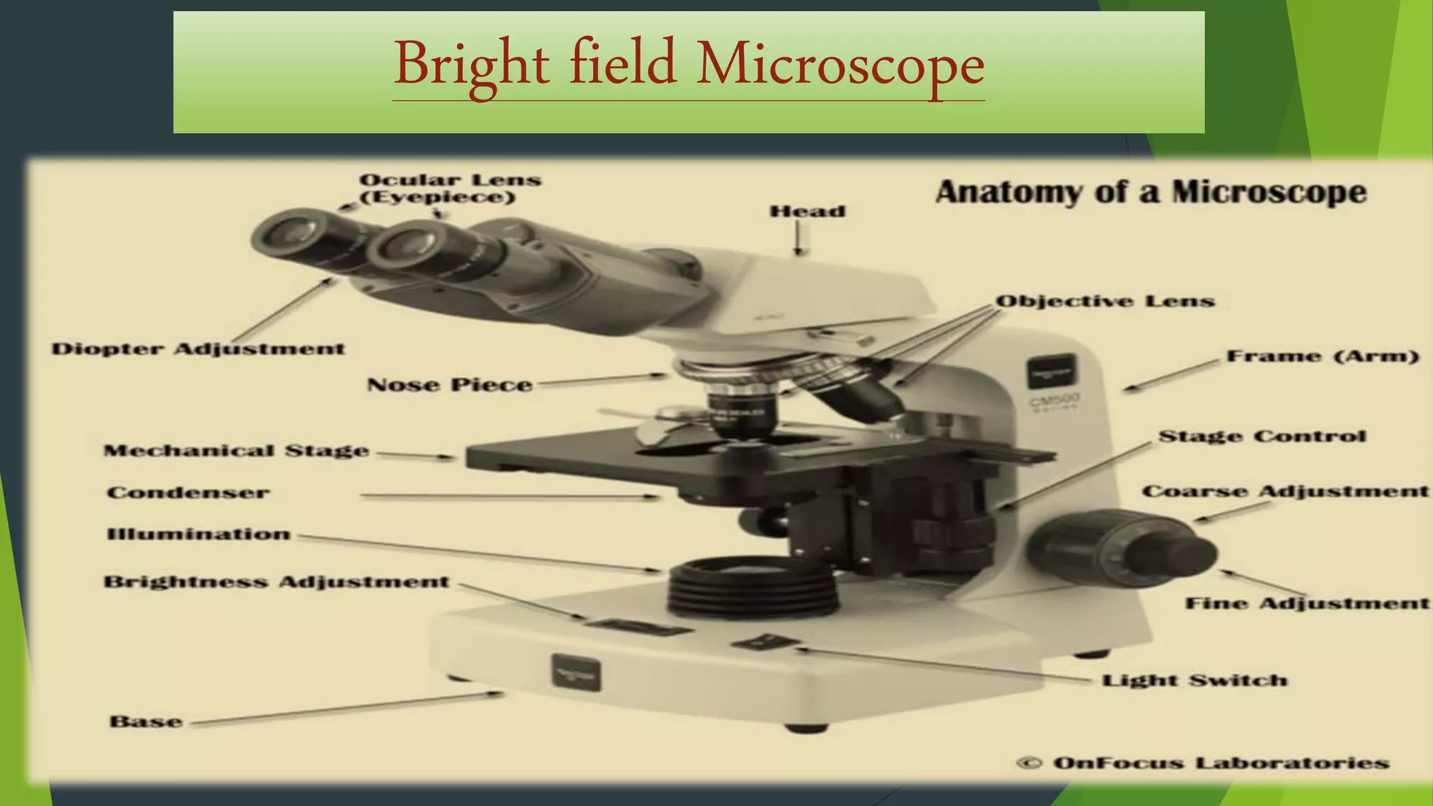 Compound light microscopy by dr. laveena | PPT