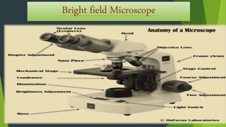 Compound light microscopy by dr. laveena | PPT