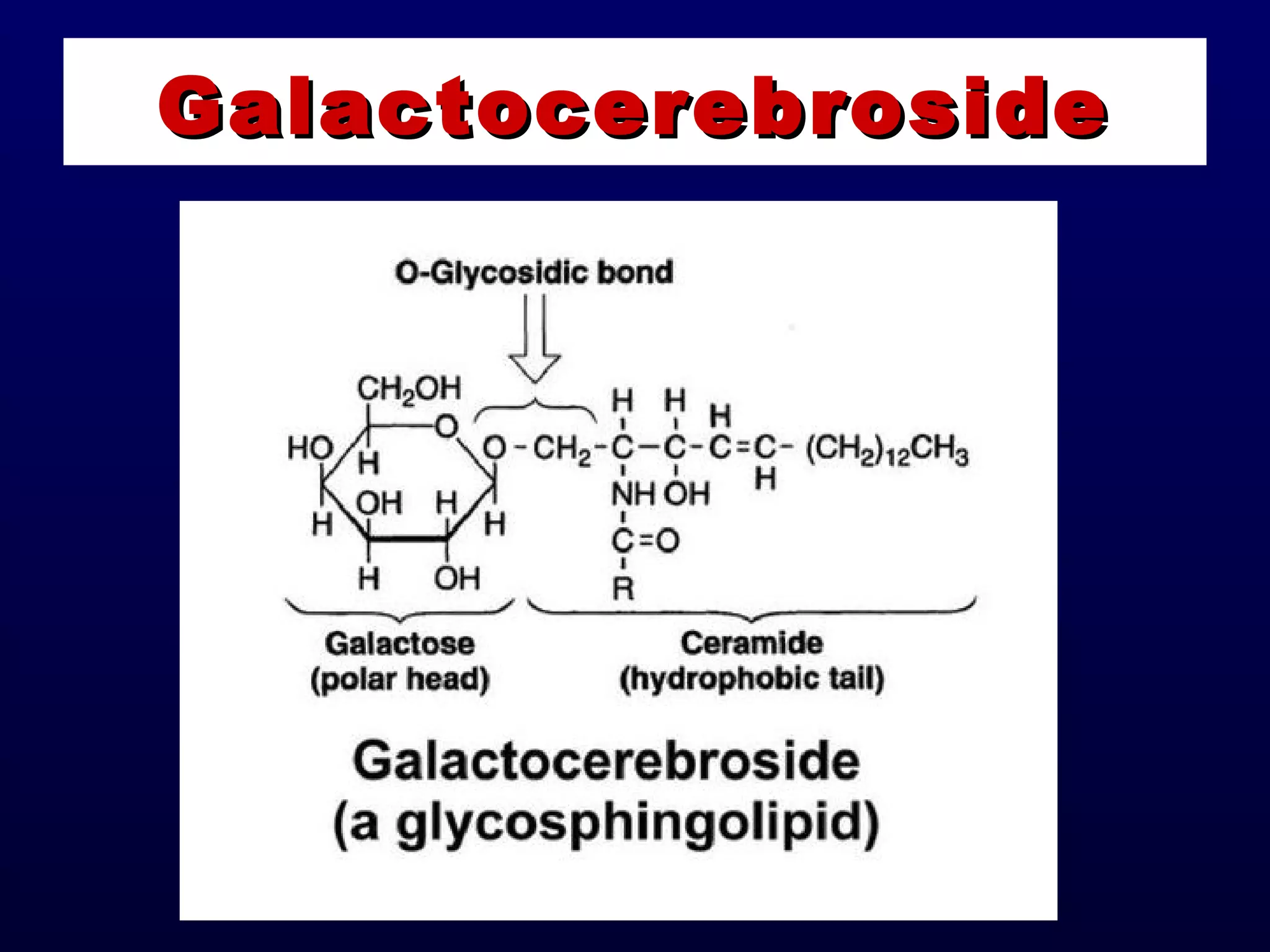 Compound lipids. | PPT