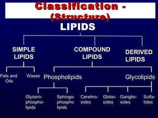 Compound lipids. | PPT