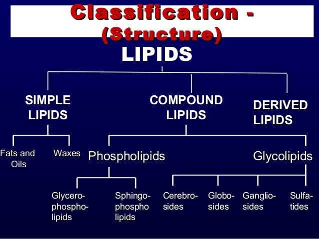Compound lipids.