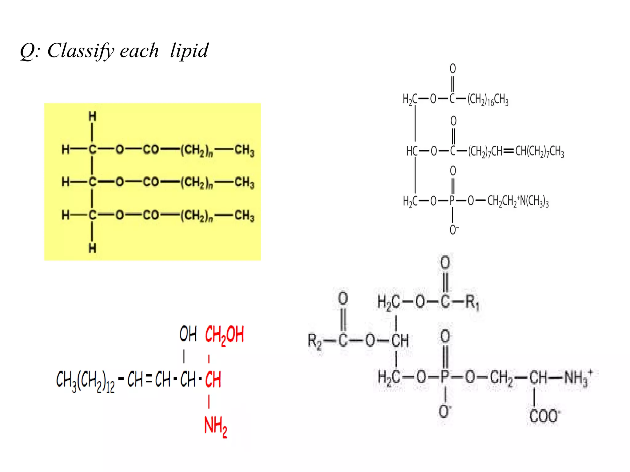 Compound lipids | PPT