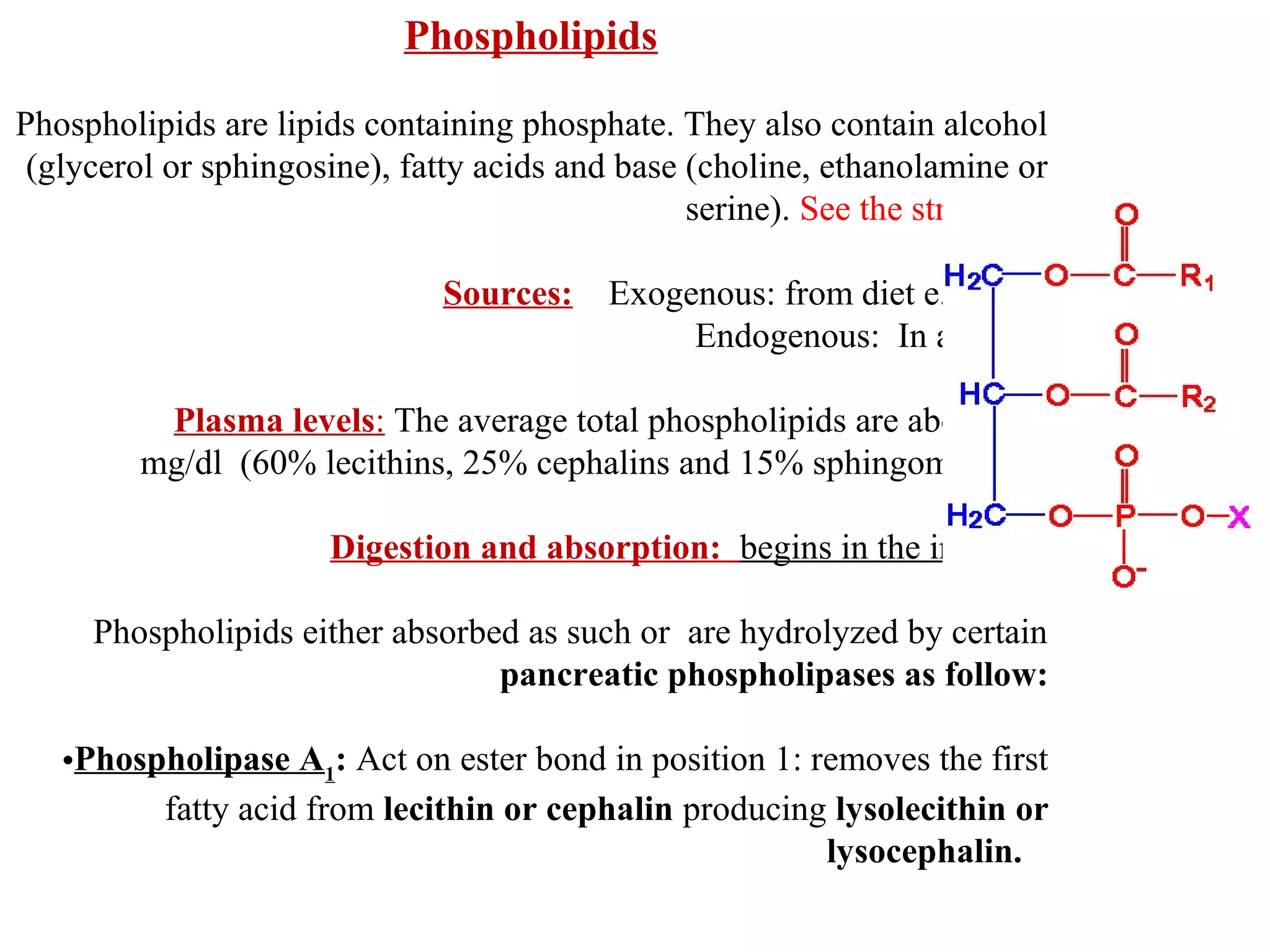 Compound lipids | PPT | Chemistry | Science