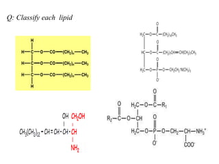 Compound lipids | PPT