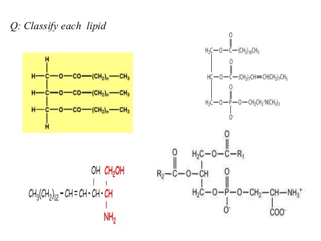 Compound lipids