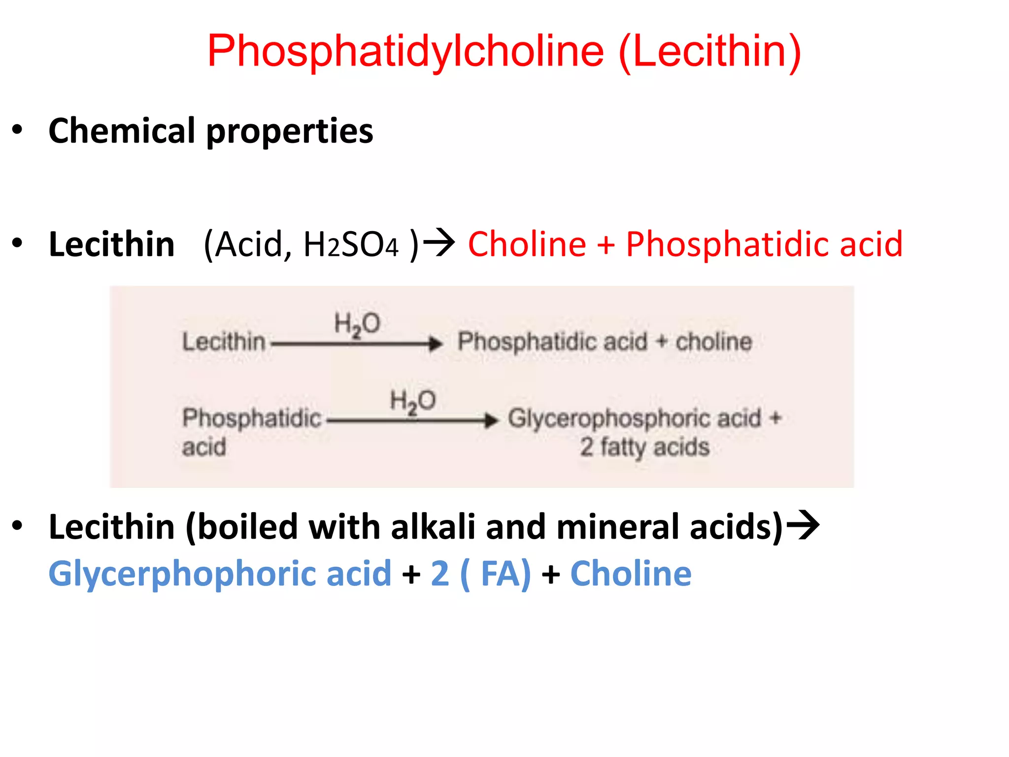 Compound lipids | PPTX