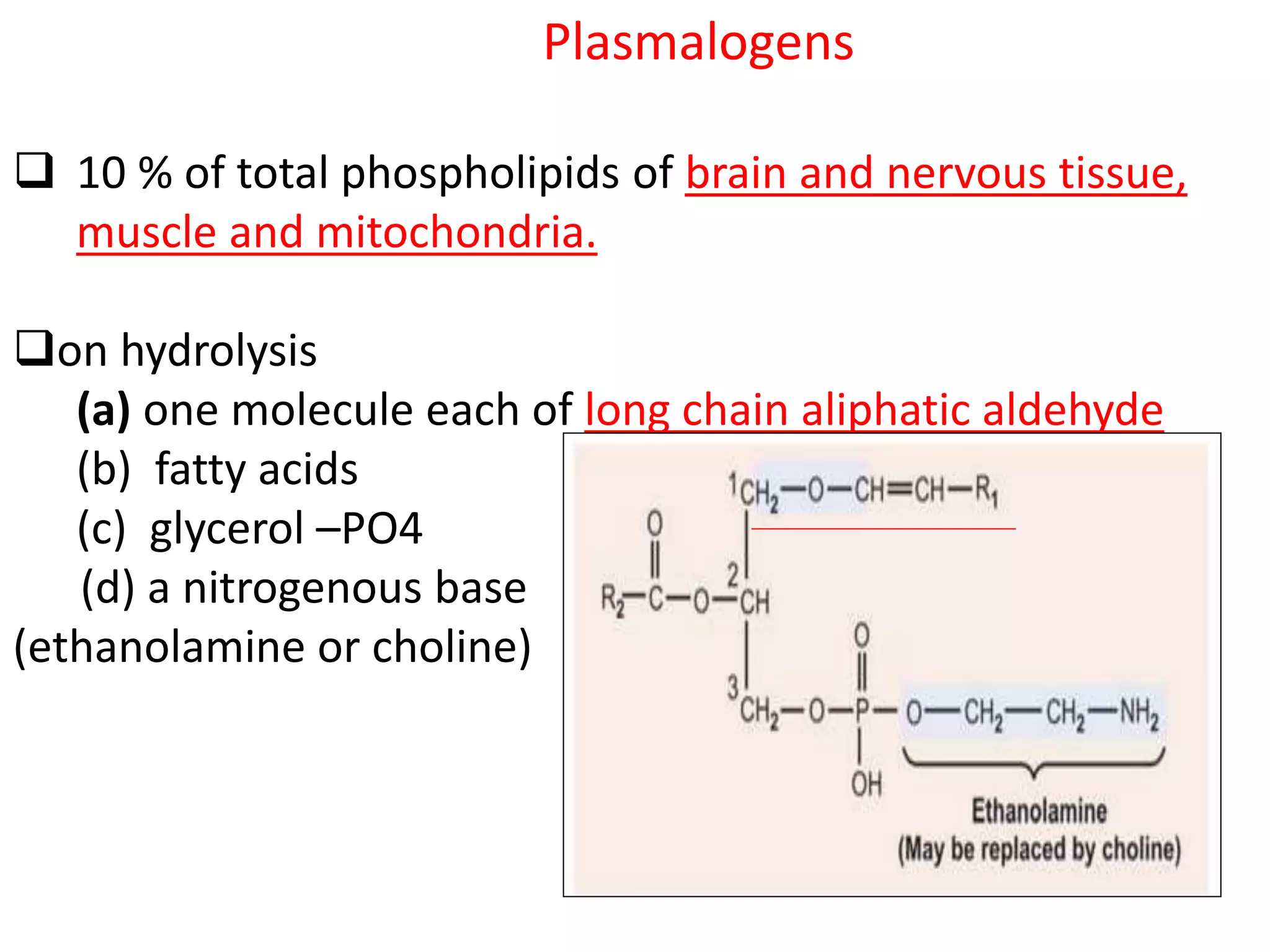 Compound lipids | PPTX