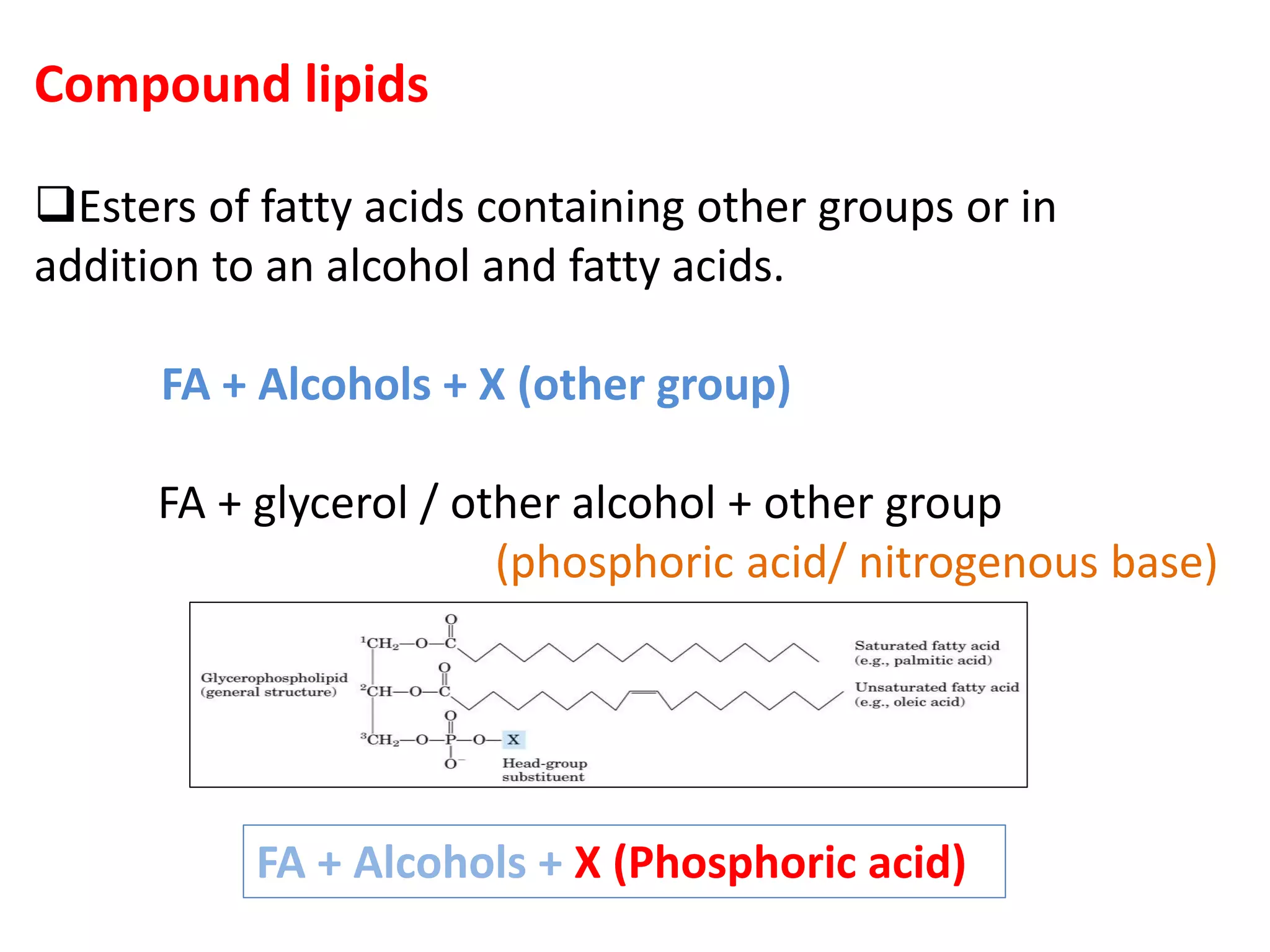 Compound lipids | PPT