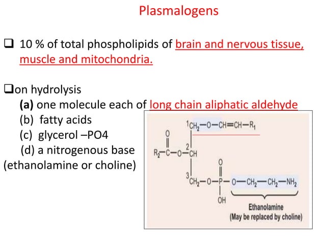 Compound lipids | PPT