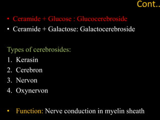 compound lipids.ppt | Free Download