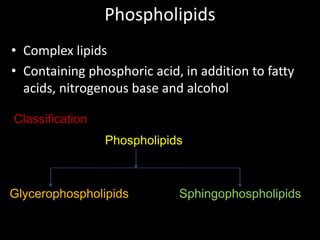 compound lipids.ppt