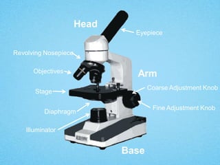 Compound microscope | PDF