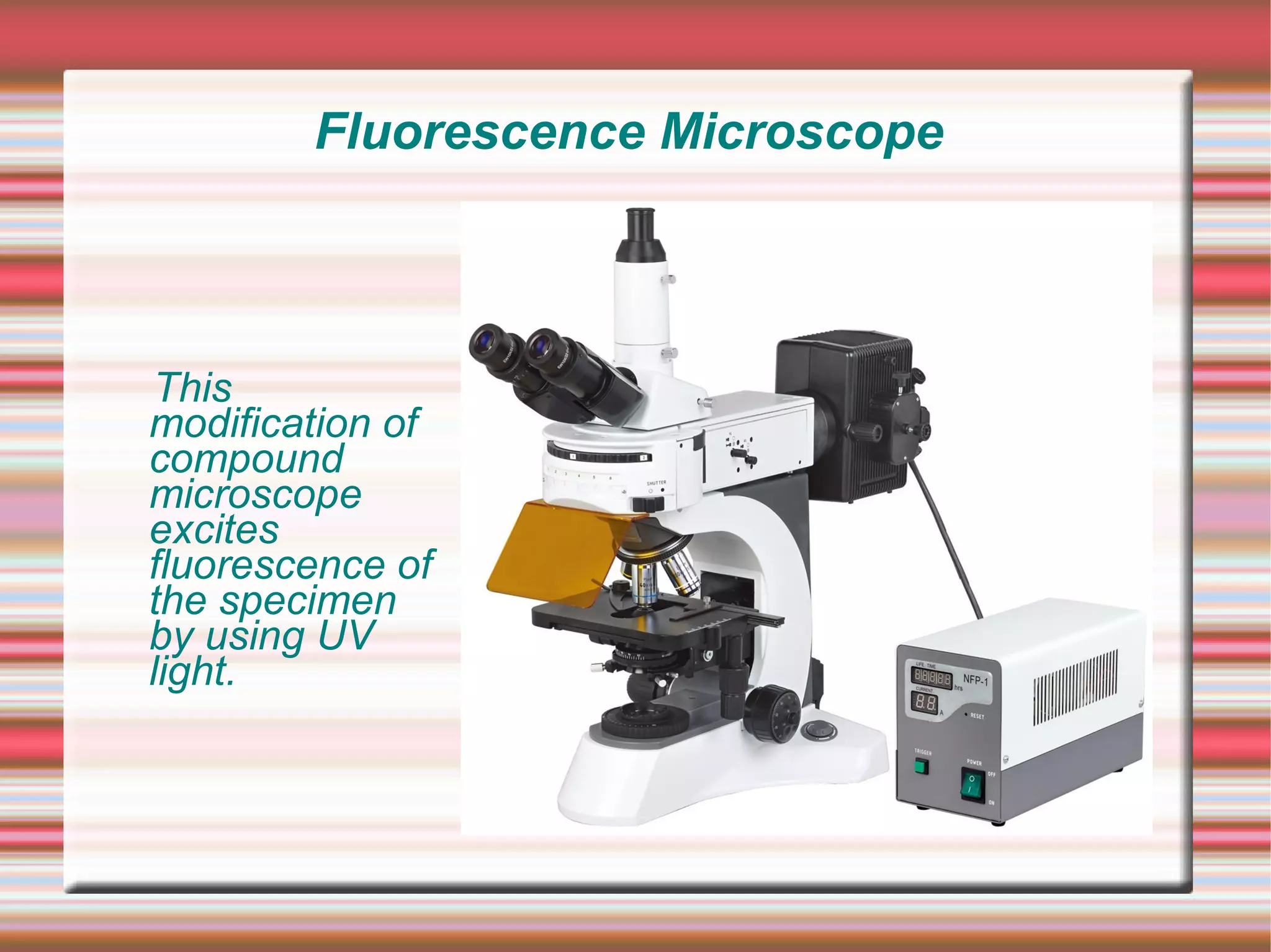 Compound Microscopes An Essential and Affordable Apparatus | PPT